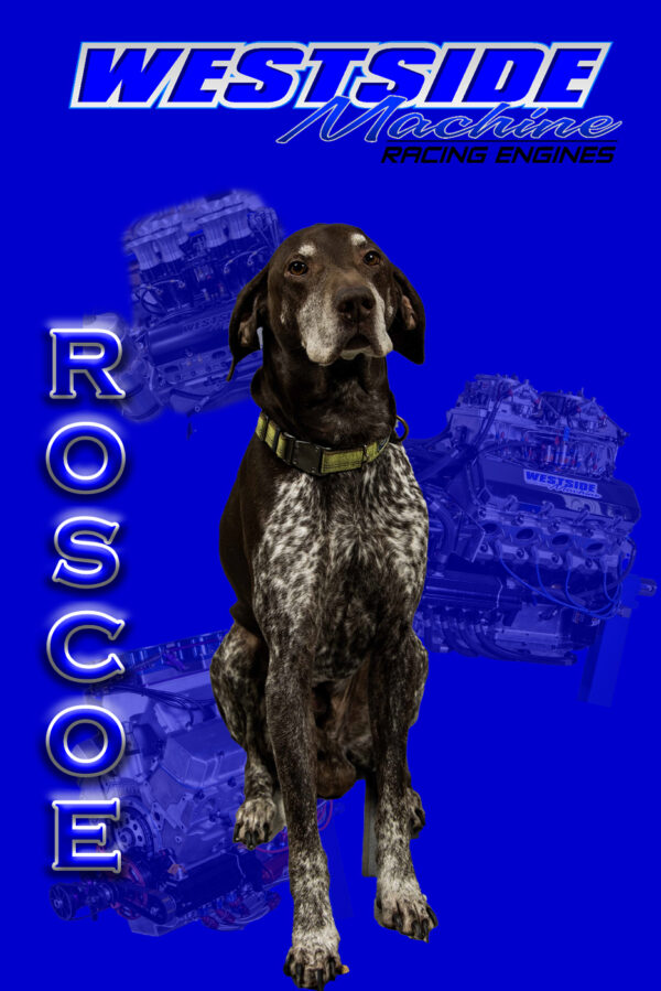 Roscoe TheDog – Westside Machine Racing Engines