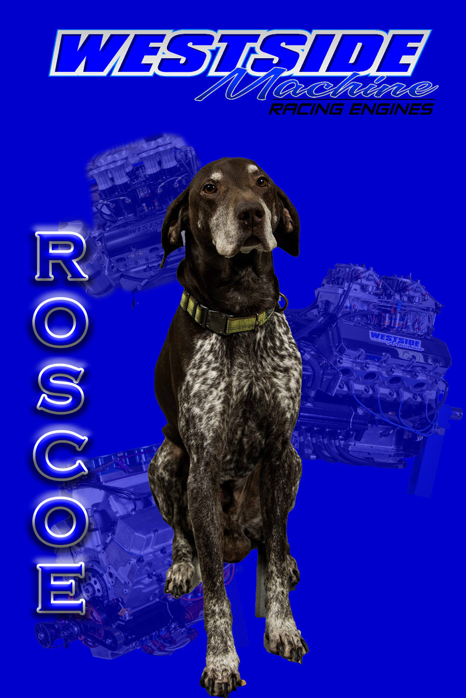 Roscoe TheDog – Westside Machine Racing Engines